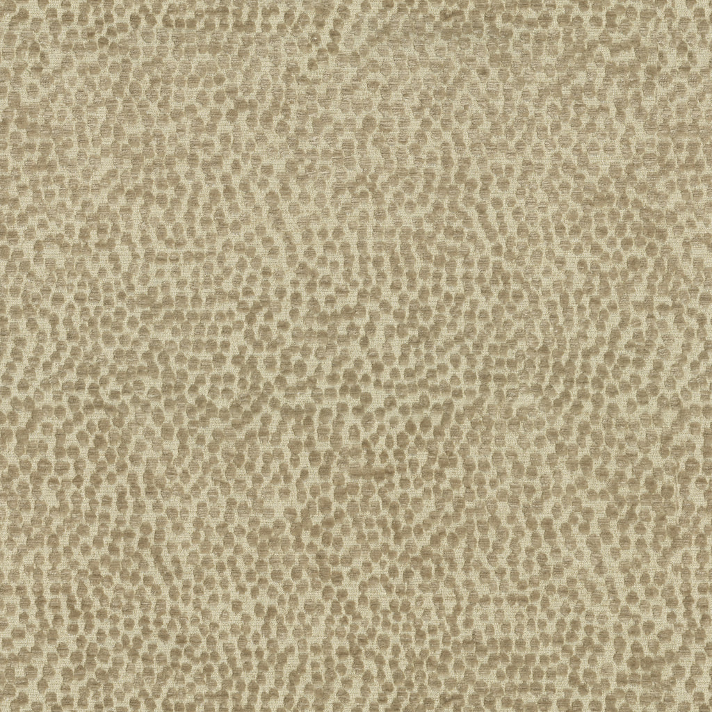 P/K Lifestyles Spotty Dotty - Linen 471246 Upholstery Fabric – CoCo B. Kitchen & Home